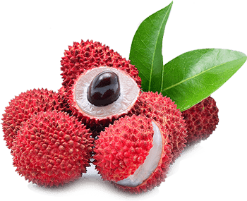 Rajshai Express Shop – Online Shopping for Mango, Silk and other ...